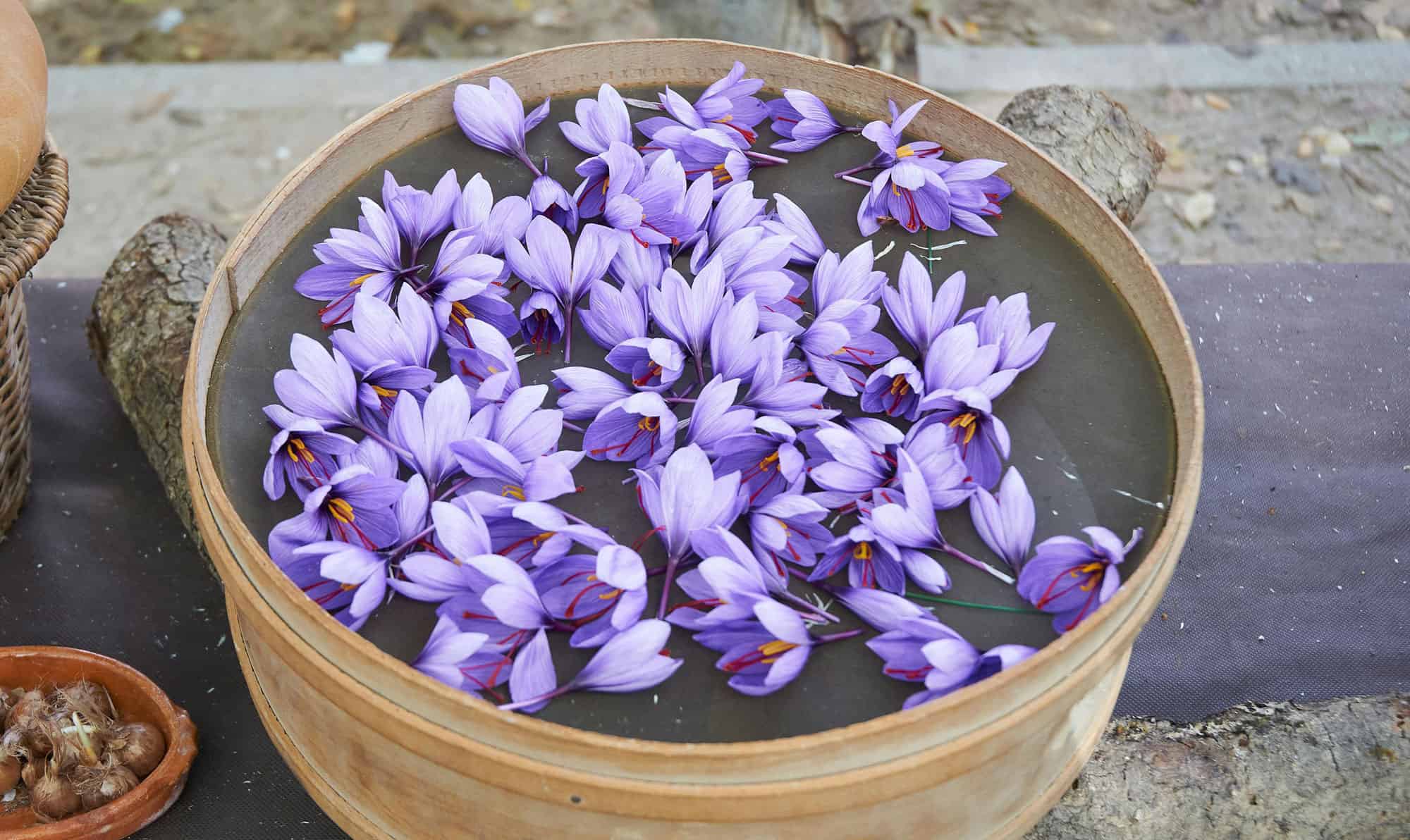 Tips for Cooking with Saffron